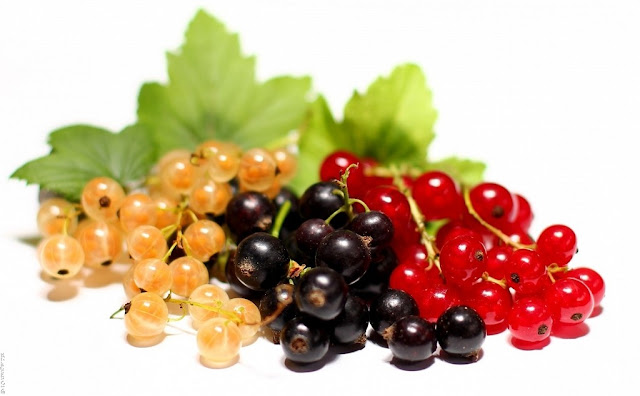 Groselha - o que é e como usar